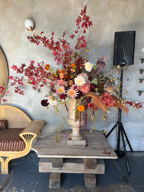 Sustainability in our Floral Studio - and Beyond – Molly Oliver Flowers