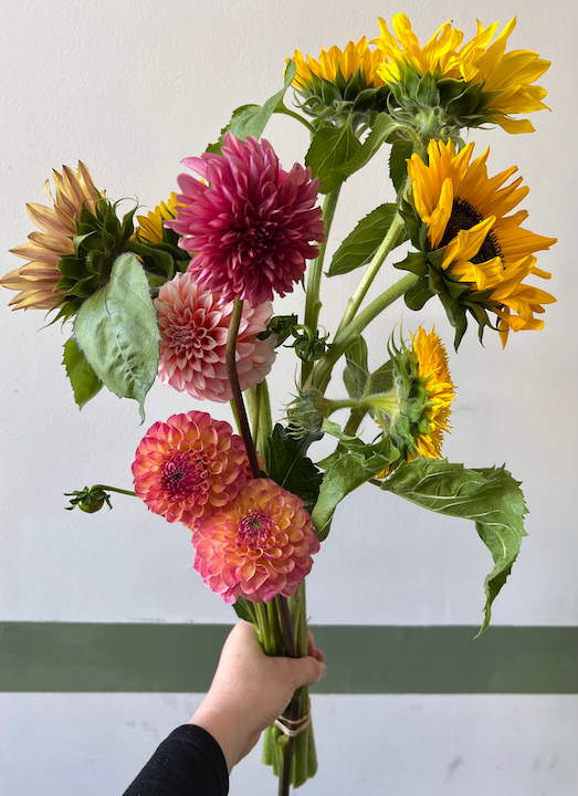 Our Flower Delivery Subscriptions – Molly Oliver Flowers